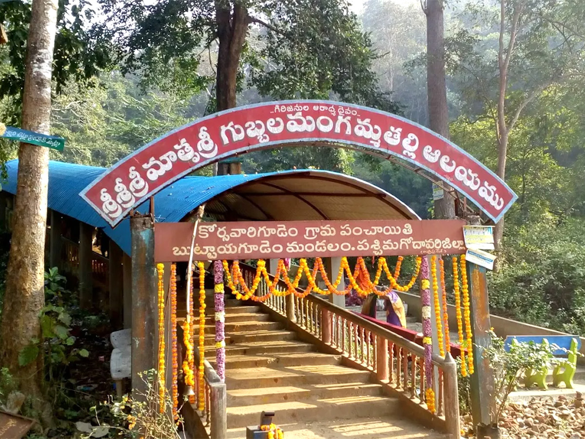 ఏపీలోని ఈ గుడి చాలా స్పెషల్..దట్టమైన అటవీ ప్రాంతంలో వెలసిన అమ్మవారు ...