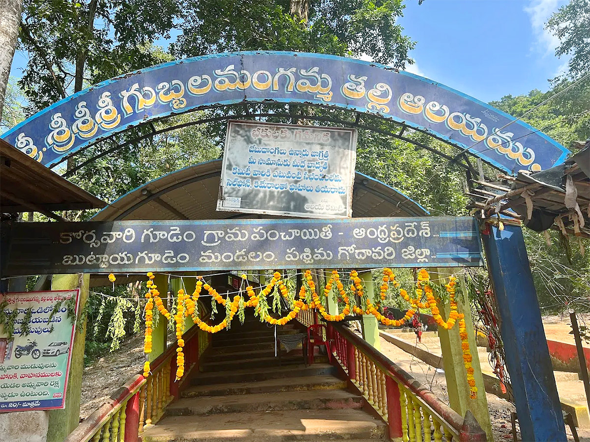 ఏపీలోని ఈ గుడి చాలా స్పెషల్..దట్టమైన అటవీ ప్రాంతంలో వెలసిన అమ్మవారు ...