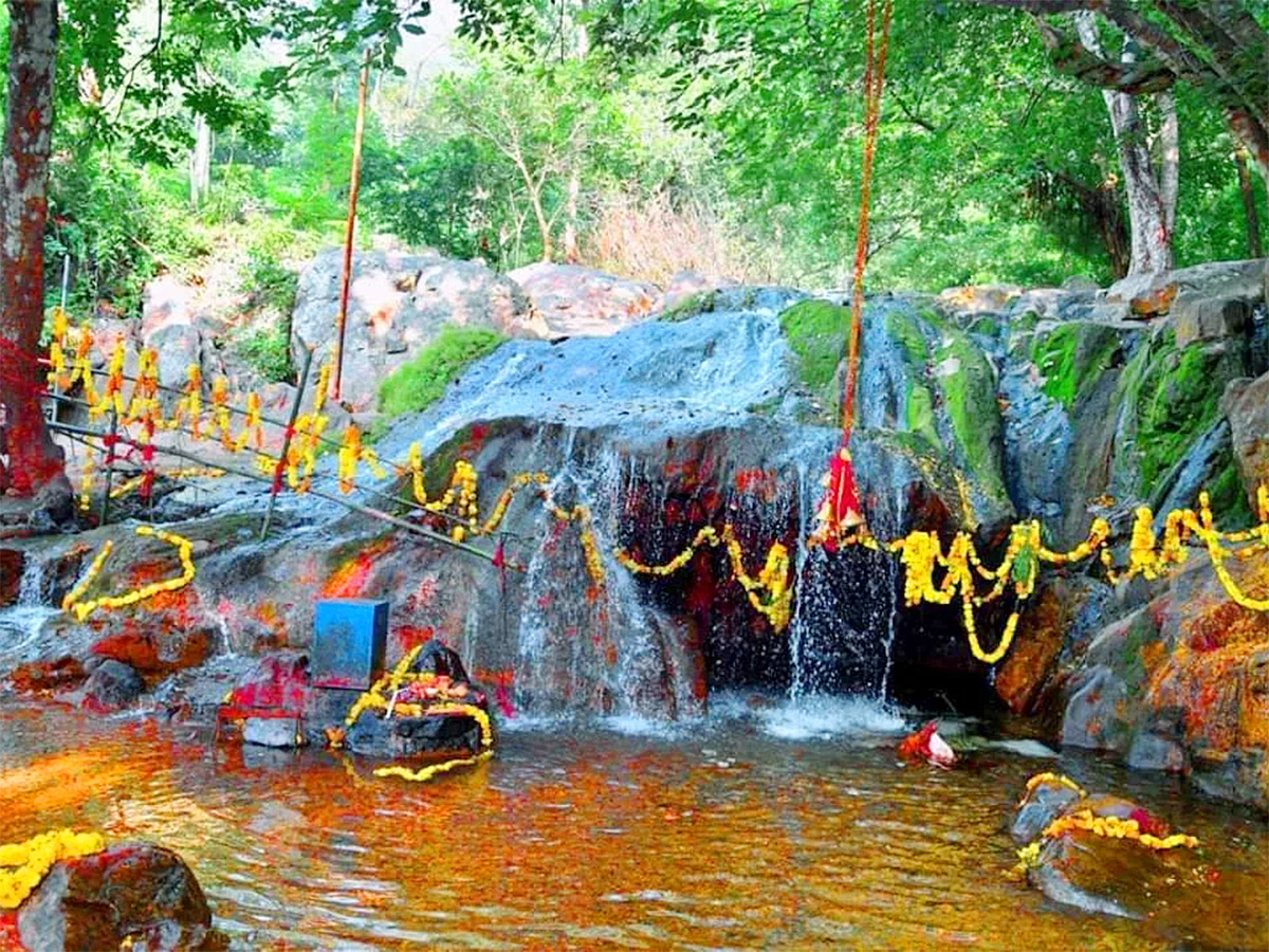 ఏపీలోని ఈ గుడి చాలా స్పెషల్..దట్టమైన అటవీ ప్రాంతంలో వెలసిన అమ్మవారు ...