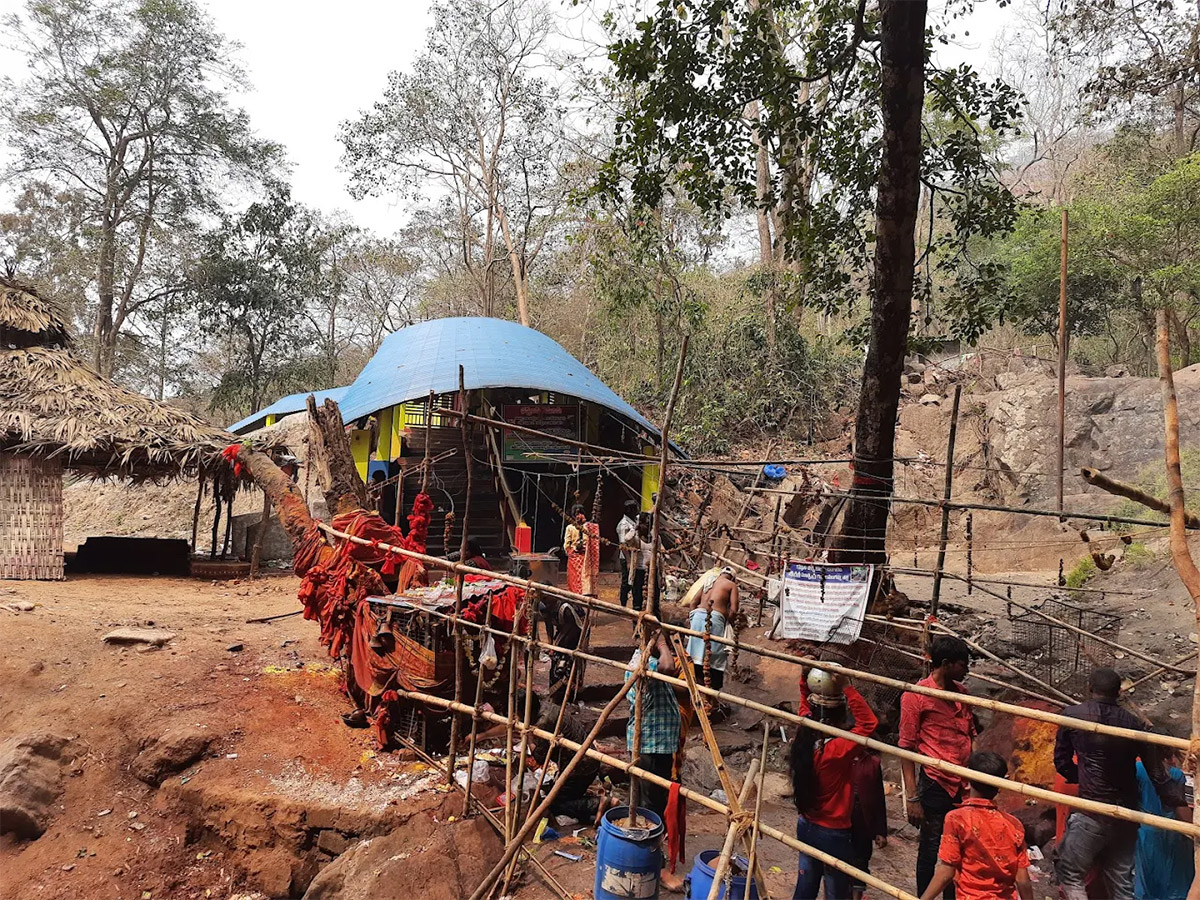 ఏపీలోని ఈ గుడి చాలా స్పెషల్..దట్టమైన అటవీ ప్రాంతంలో వెలసిన అమ్మవారు ...