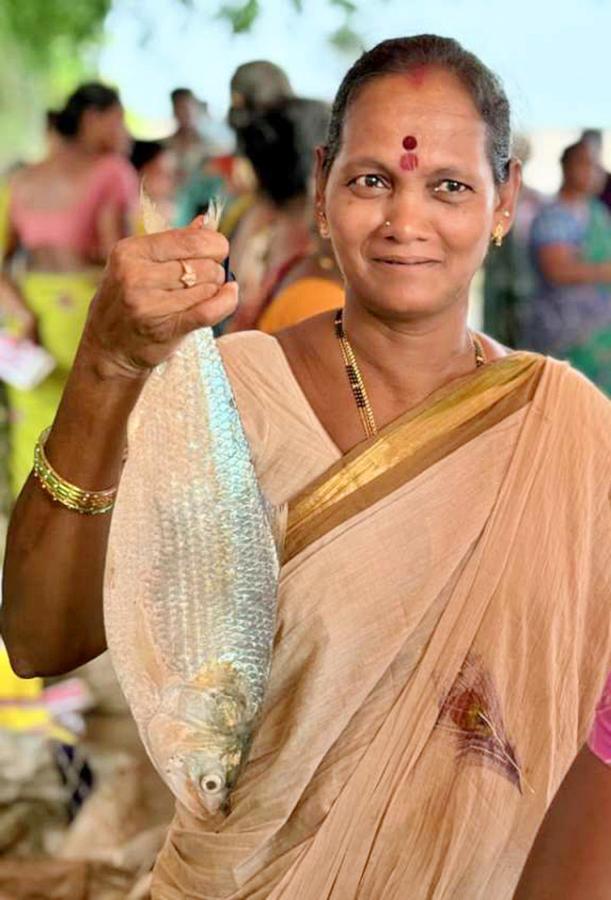 నోరూరించే పులస వచ్చేస్తోంది..రెడీనా! (ఫొటోలు) | East Godavari : Pulasa ...