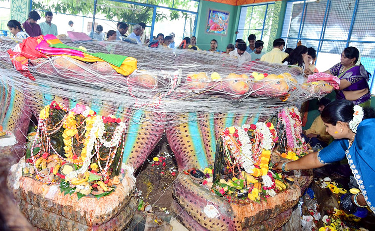 శ్రావణ నాగుల చవితి (ఫొటోలు) | Devotees Celebrated Nagula Chavithi 2025 ...