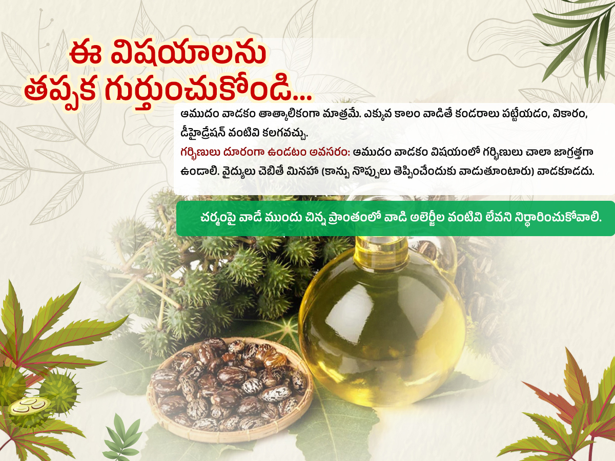 జిడ్డు ఆముదమే కానీ..ఎన్ని ప్రయోజనాలో తెలుసా..! (ఫొటోలు) | Castor Oil ...
