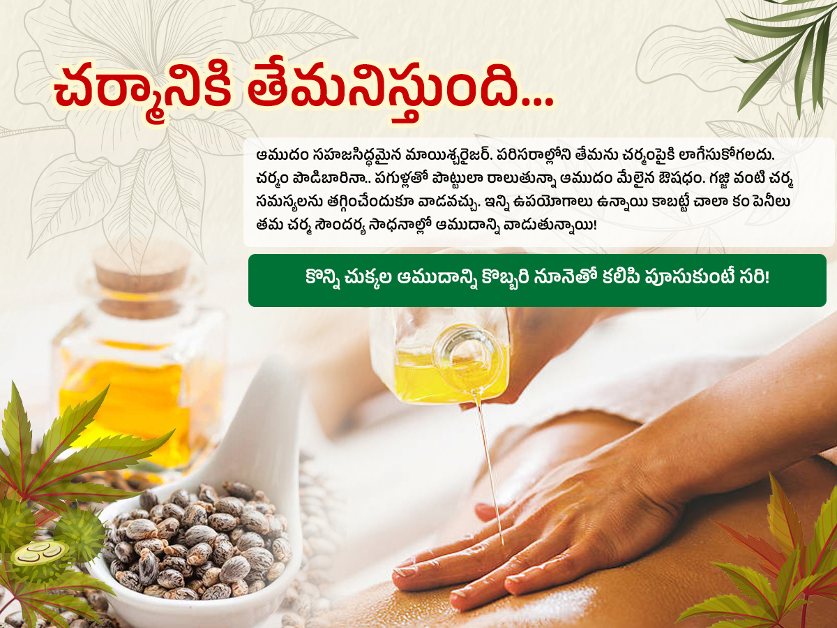 జిడ్డు ఆముదమే కానీ..ఎన్ని ప్రయోజనాలో తెలుసా..! (ఫొటోలు) | Castor Oil ...