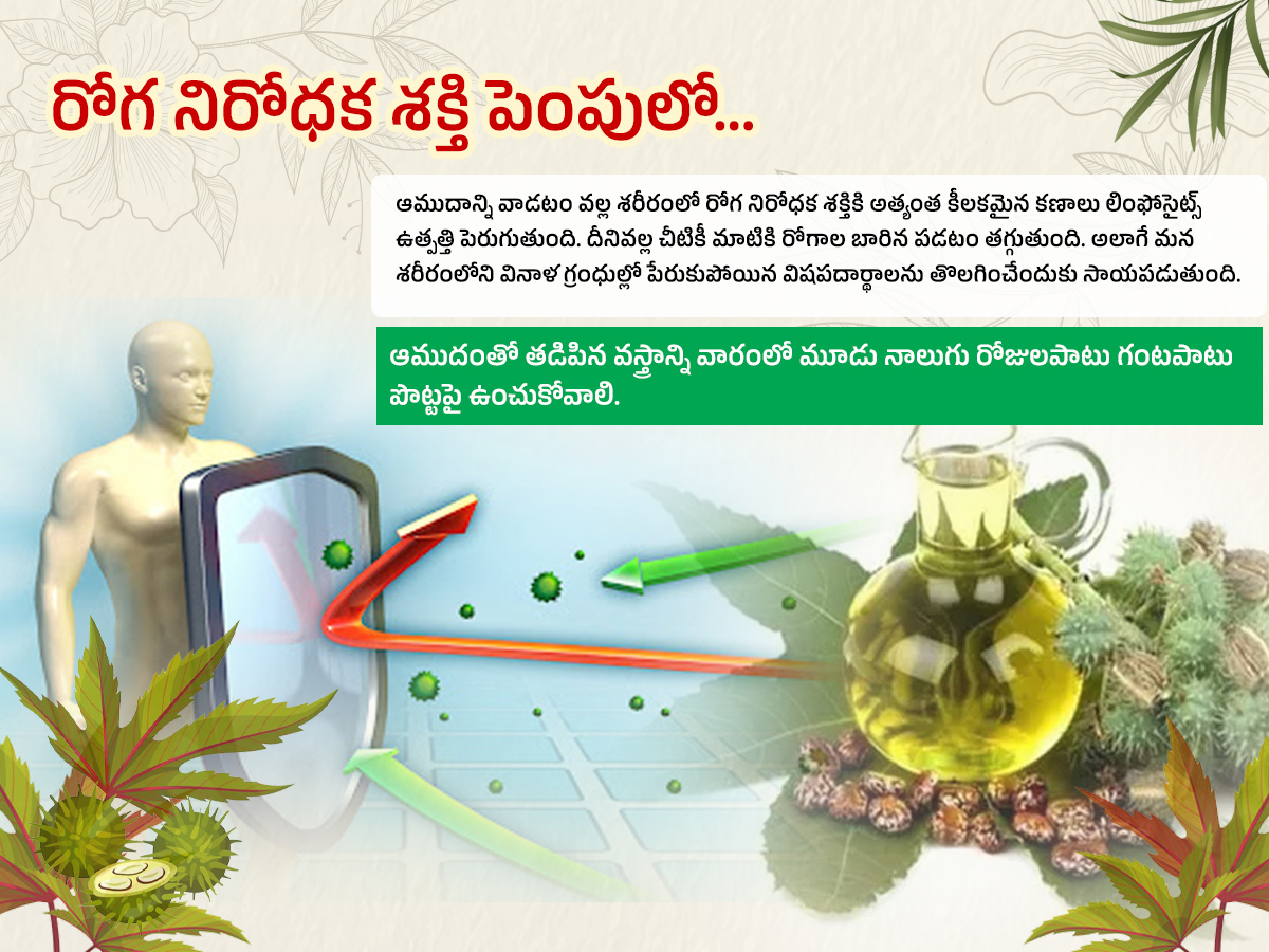 జిడ్డు ఆముదమే కానీ..ఎన్ని ప్రయోజనాలో తెలుసా..! (ఫొటోలు) | Castor Oil ...