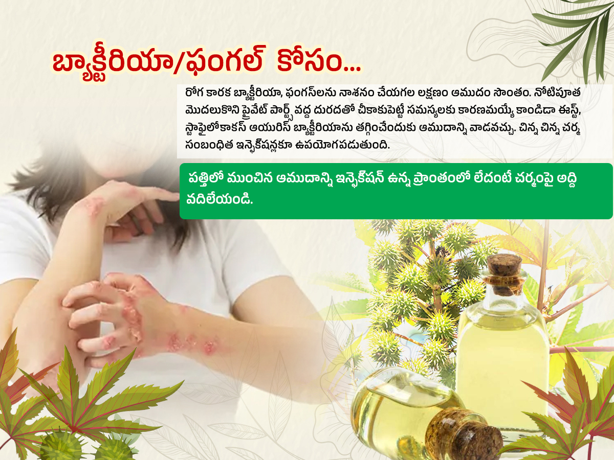 జిడ్డు ఆముదమే కానీ..ఎన్ని ప్రయోజనాలో తెలుసా..! (ఫొటోలు) | Castor Oil ...