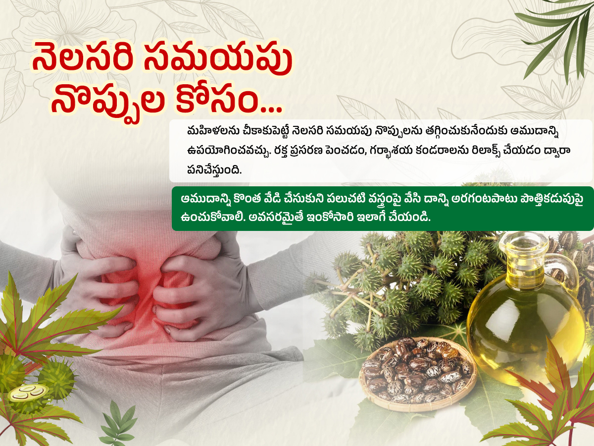 జిడ్డు ఆముదమే కానీ..ఎన్ని ప్రయోజనాలో తెలుసా..! (ఫొటోలు) | Castor Oil ...