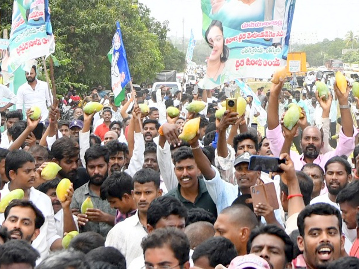 బంగారుపాళ్యం వీధుల్లో జనసునామీ (ఫొటోలు) | Heavy Public Crowd To Meet YS ...