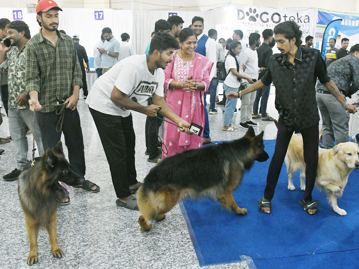 విశాఖపట్నంలో నేషనల్‌ డాగ్‌ షో అదరహో (ఫొటోలు) | National Dog Show 2025 ...