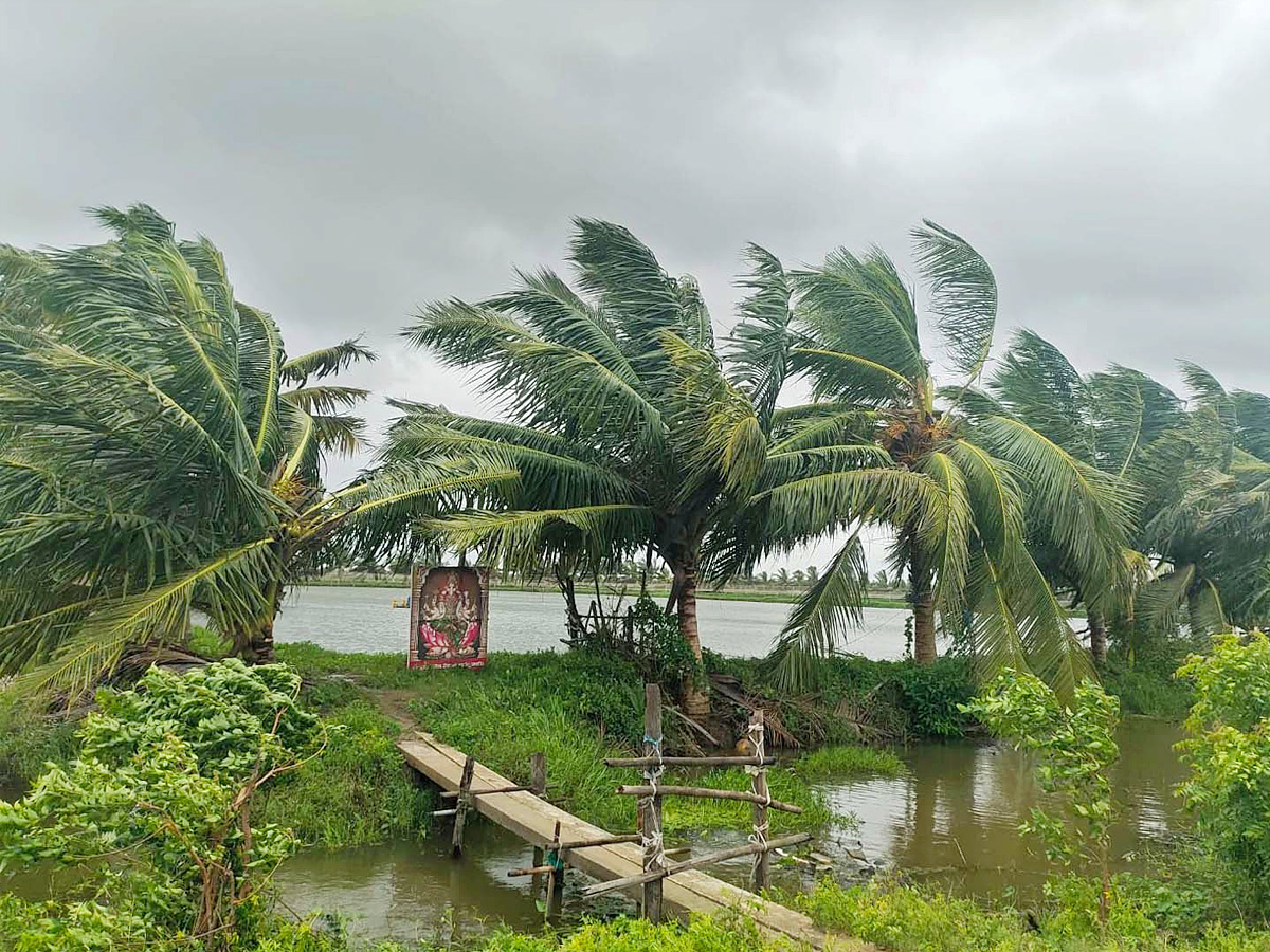 Cyclone Montha: మోంథా బీభత్సం.. (ఫొటోలు) | Cyclone Montha Slams AP ...