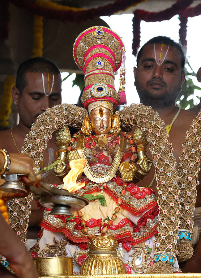 తిరుచానూరు : పంచమి తీర్థం..పులకించిన జనం (ఫొటోలు) | Padmavathi Ammavari ...