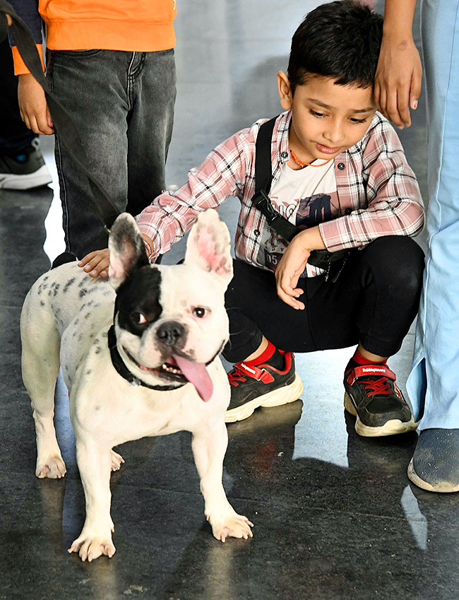హైదరాబాద్‌ : పెట్‌ షో అదరహో (ఫొటోలు) | Dog Show in Hyderabad Photos ...